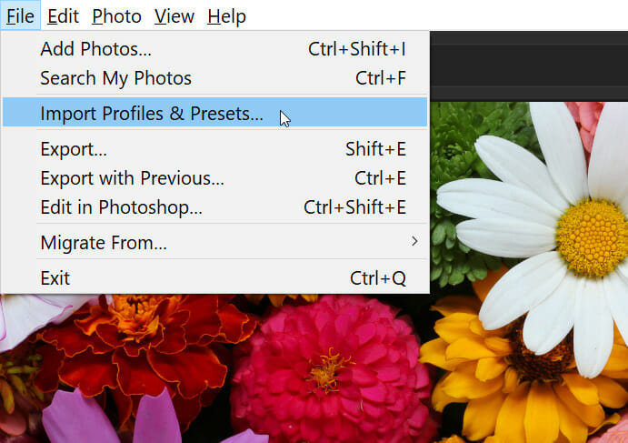 Download These Lightroom Profiles to Easily Invert Your Photos ...